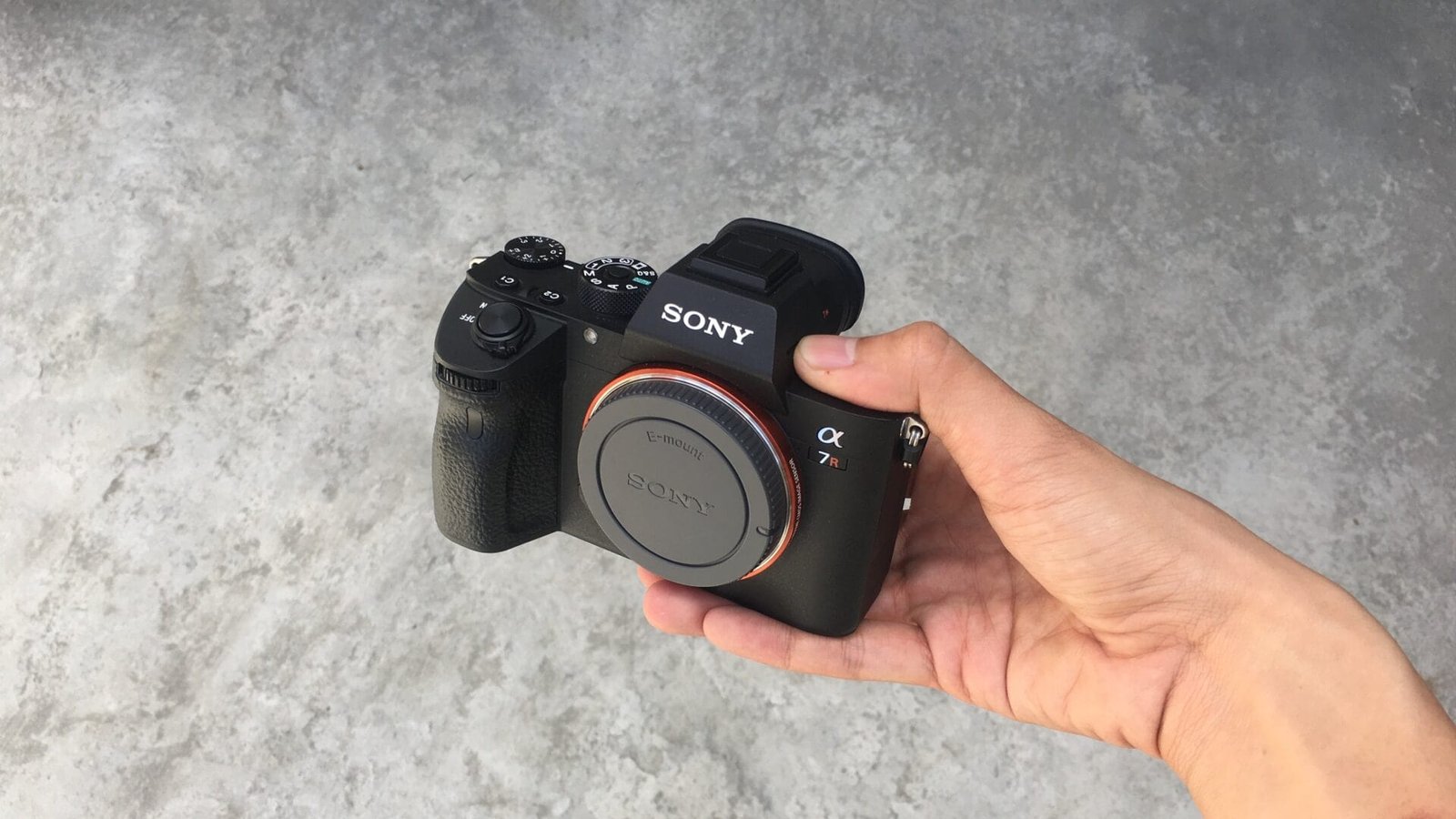 Sony Alpha 7R III Camera Review! | Geekstamatic